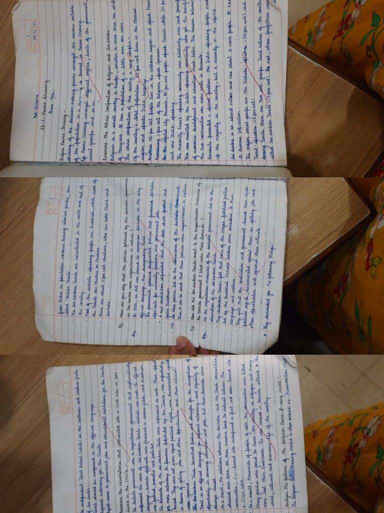 Power Sharing Notes | PDF