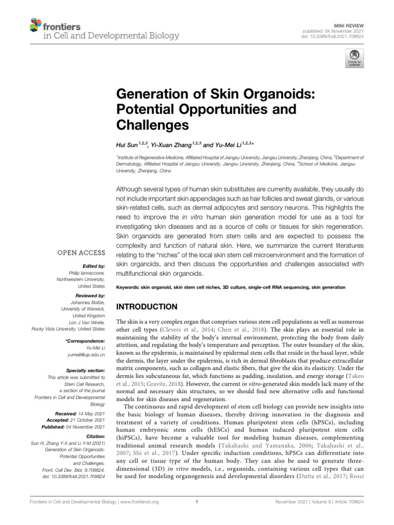 Generation of Skin Organoids - Potential Opportunities and Challenges ...
