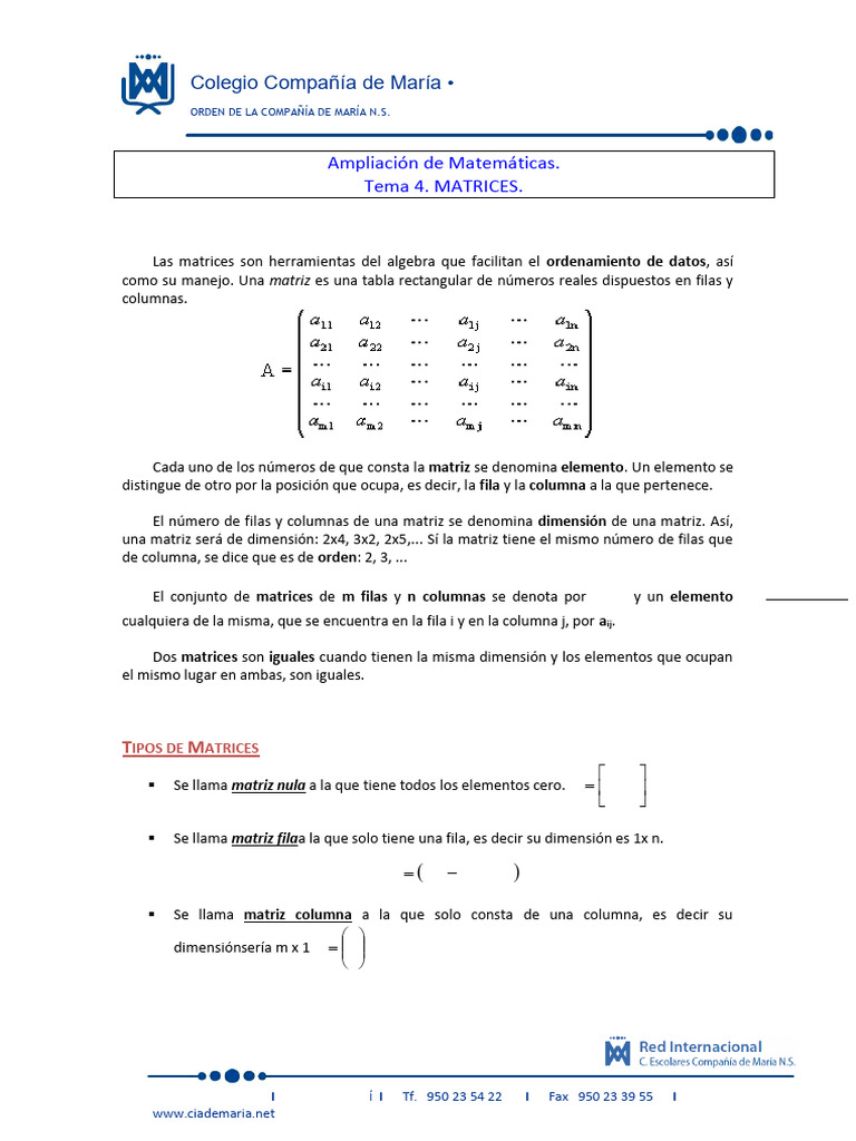 Tema 04 Matrices 19-20 | PDF | Matriz (Matemáticas) | Determinante