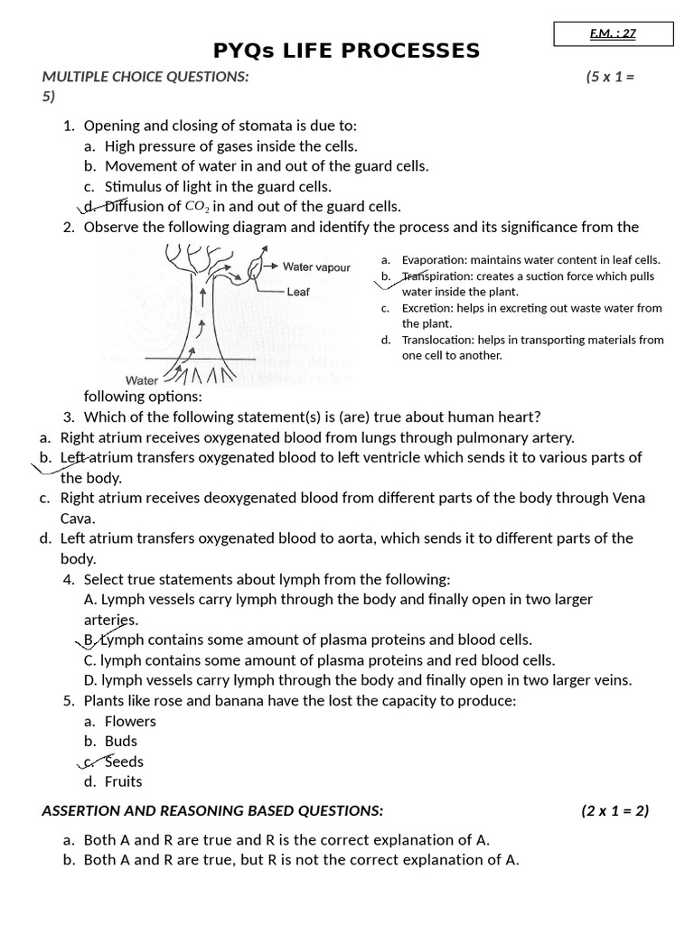 Pyqs Life Processes | PDF | Digestion | Stomach