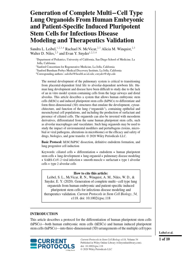 Lung Organoid Generation from Stem Cells | PDF | Cell Potency ...