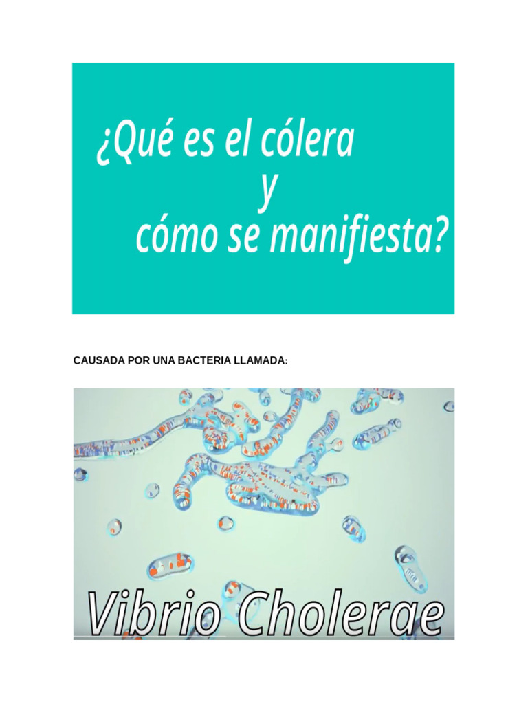 El Colera | PDF