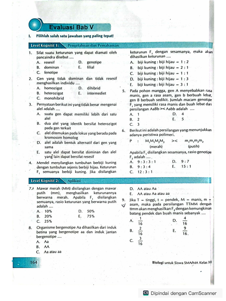 Wa0013. - 085028 | PDF