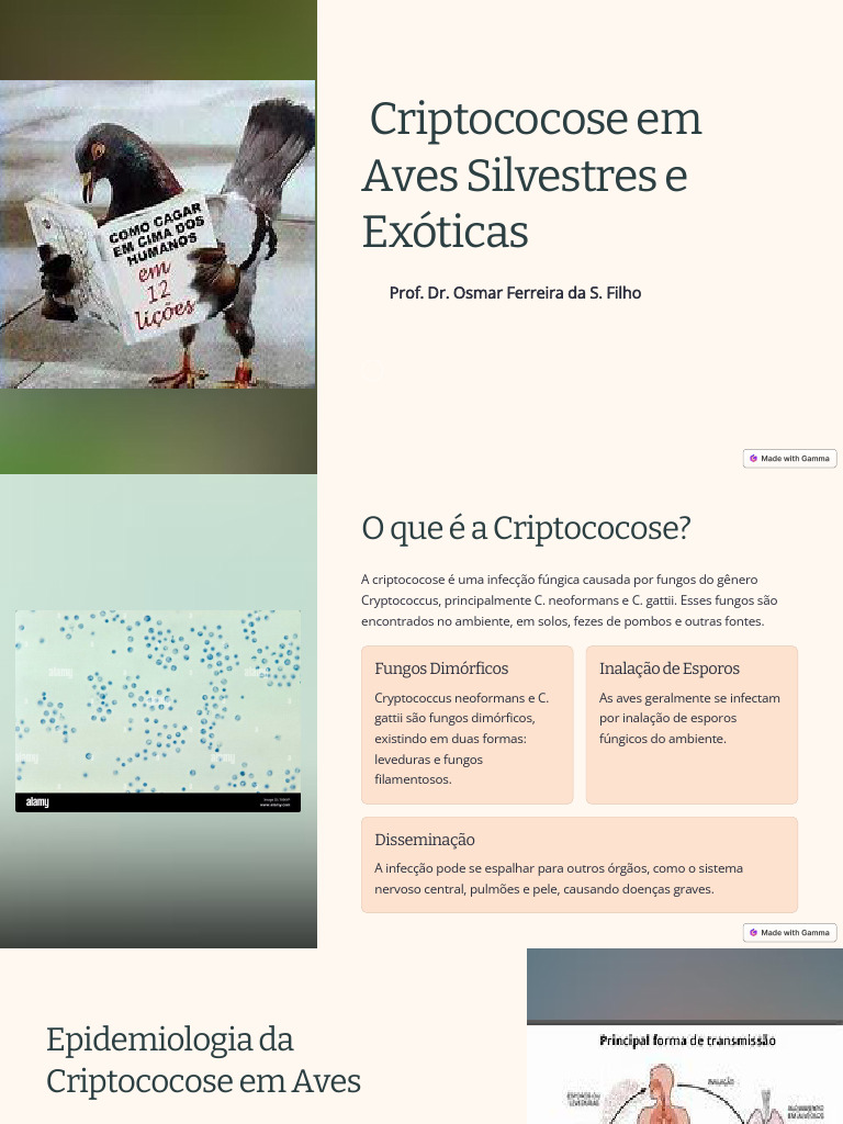 Criptococose em Aves: Sintomas e Tratamento | PDF | Aves | Fungo