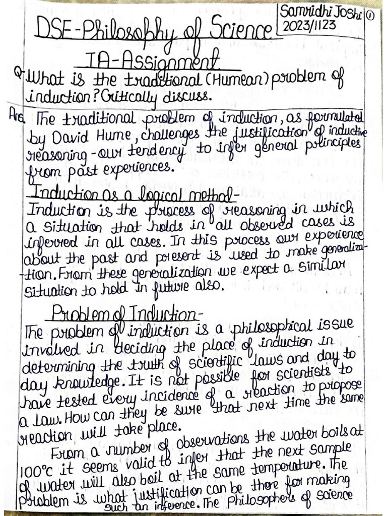 DSE IA Assignment | PDF