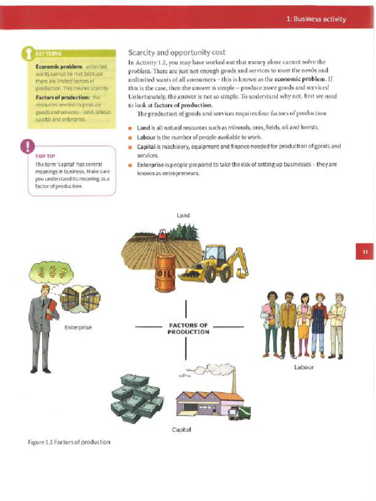 Scarcity and Cost Opportunity | PDF