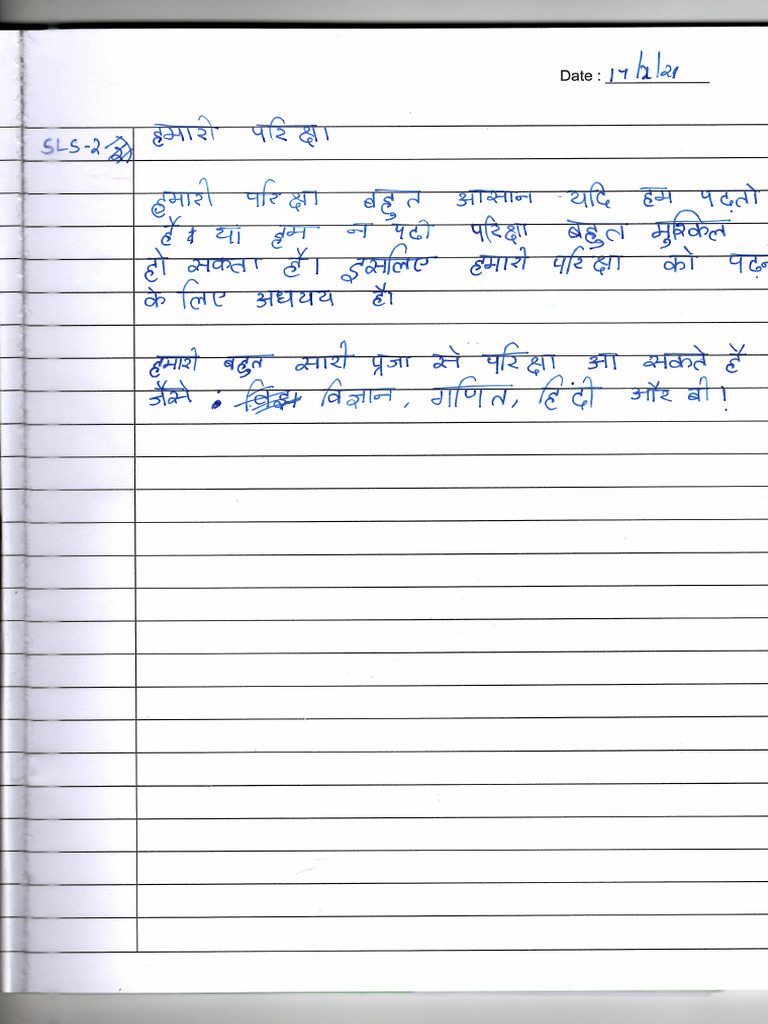 Hindi SLS 2 | PDF