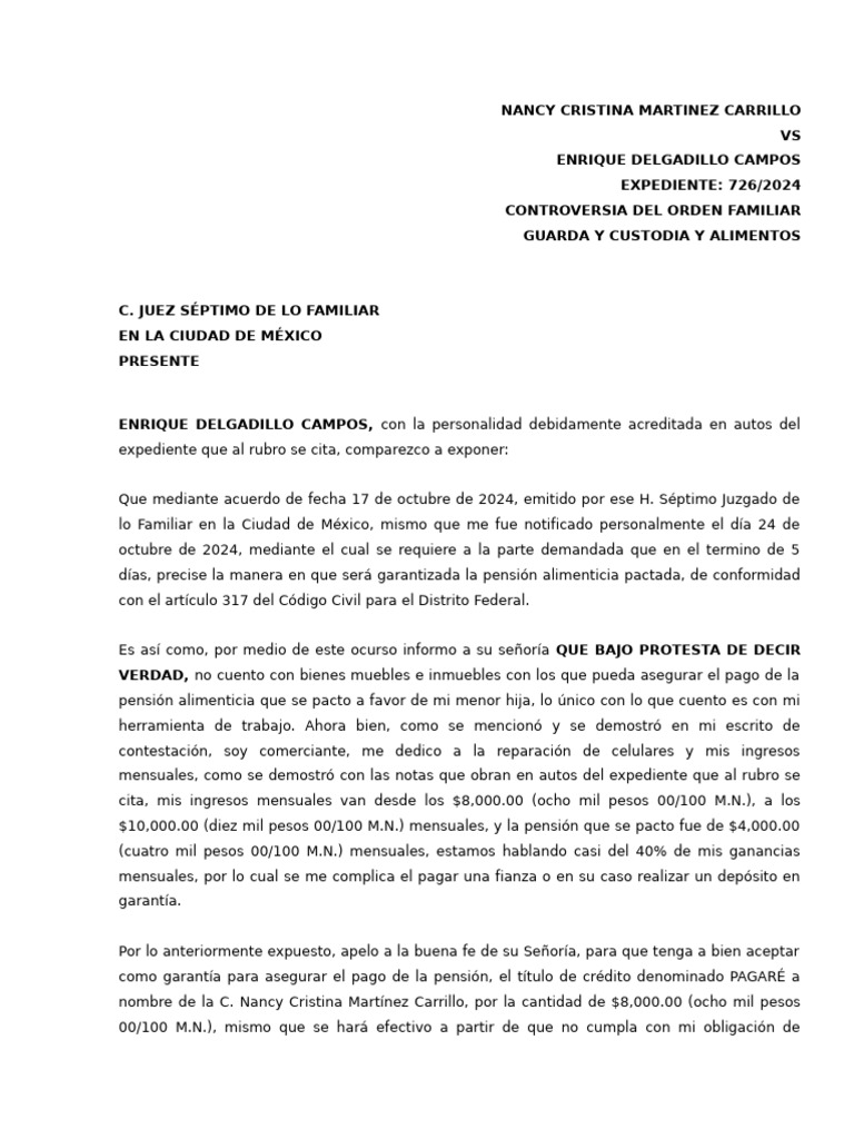 S de Aseguramiento de Pago de Pension Alimenticia NANCY CRISTINA ...