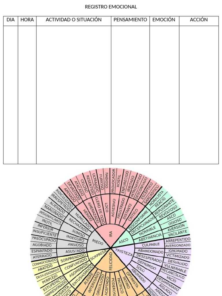 Registro Emocional | PDF