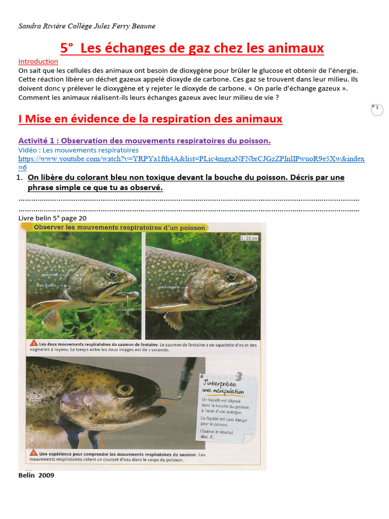 Échanges gazeux chez les poissons | PDF | Branchie | Système respiratoire