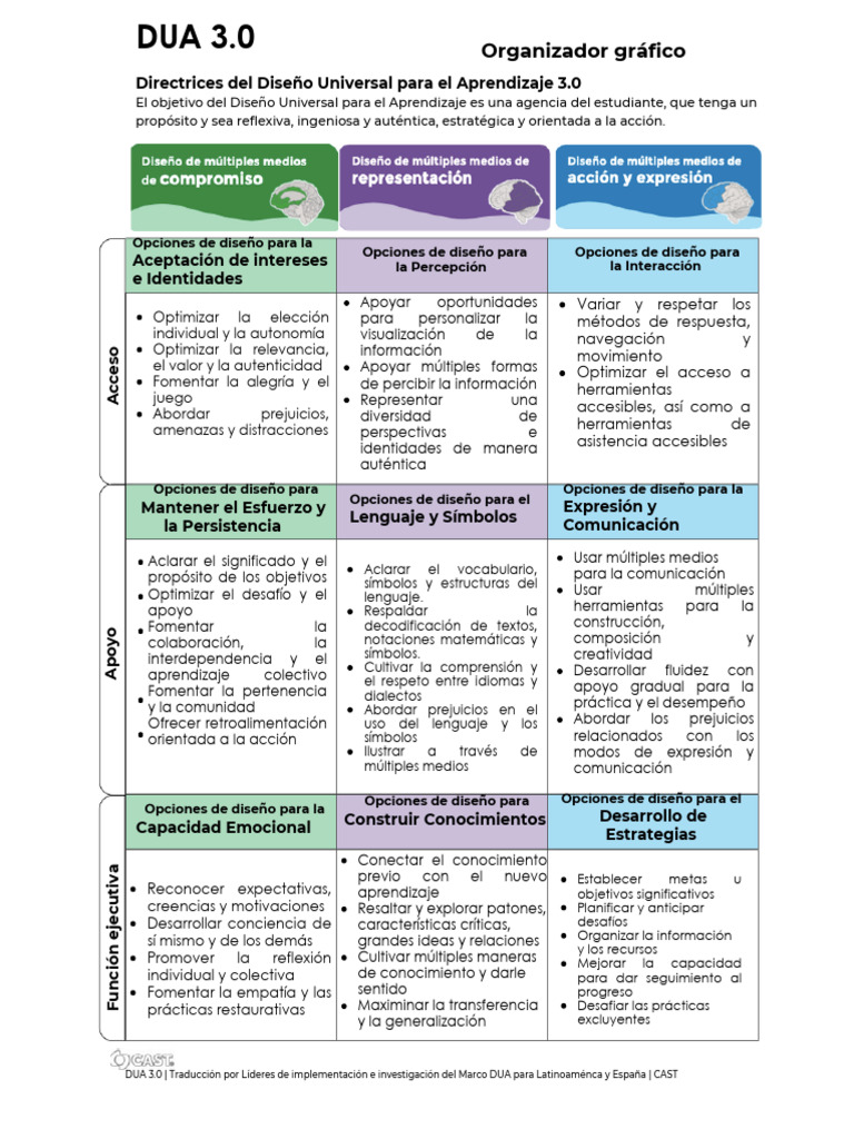 Organizador Gráfico DUA 3.0 | PDF | Diseño | Aprendizaje
