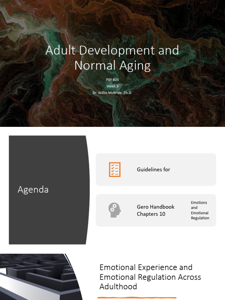 Emotional Experience in Aging Adults | PDF | Prefrontal Cortex | Emotions