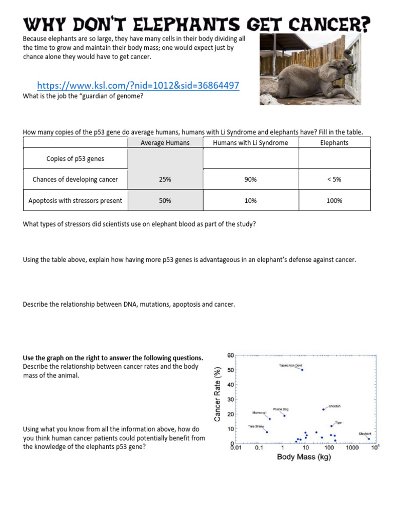Do Elephants Get Cancer | PDF