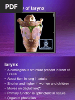 Anatomy of the Glottis and Subglottis | PDF | Larynx | Human Head And Neck
