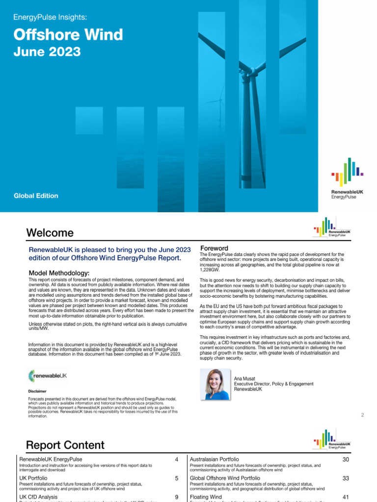 EnergyPulse GOW June 2023 | PDF | Power (Physics) | Electric Power