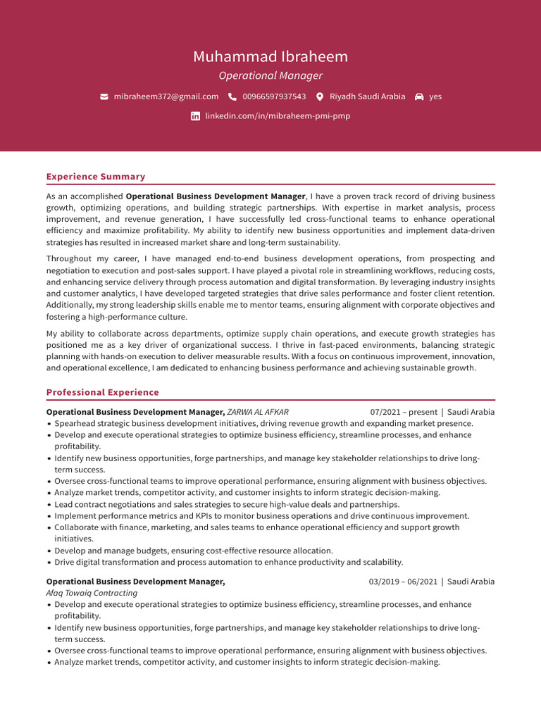 Muhammad Ibraheem FlowCV Resume 20250203 2 | PDF | Business Development | Marketing