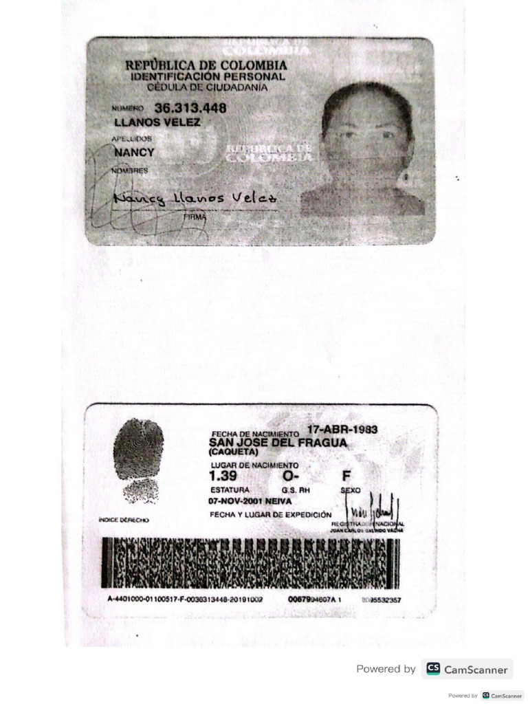 HV - Nancy Llanos Velez - Agente Educatiba | PDF