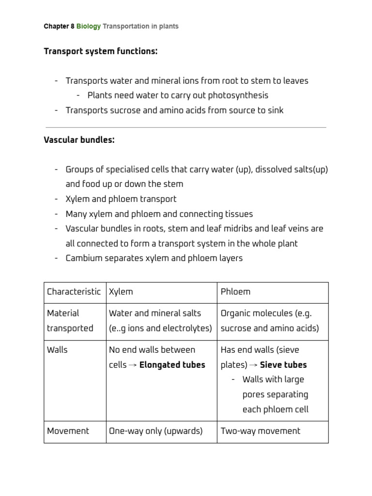 IGCSE - Biology - Chapter 8 - Plant Transportation | PDF | Plant Stem ...