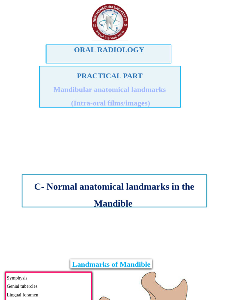 Section III - Mandibular Anatomical Landmarks | PDF | Dental Anatomy | Dentistry Branches