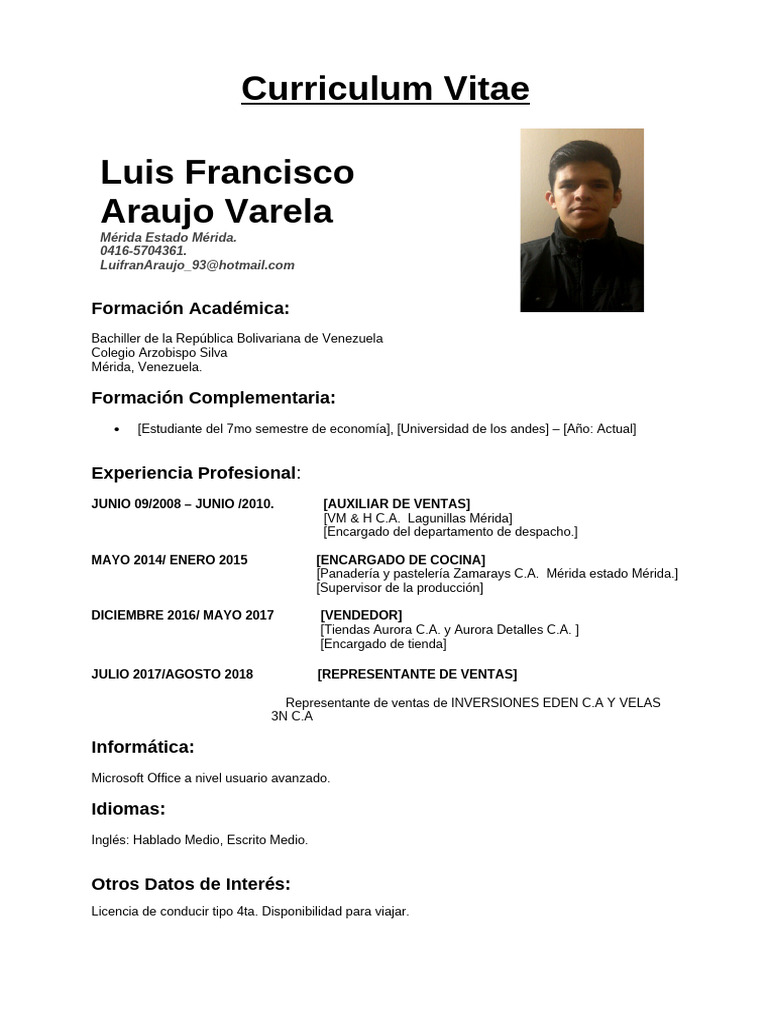 Curriculum Luis Araujo | PDF