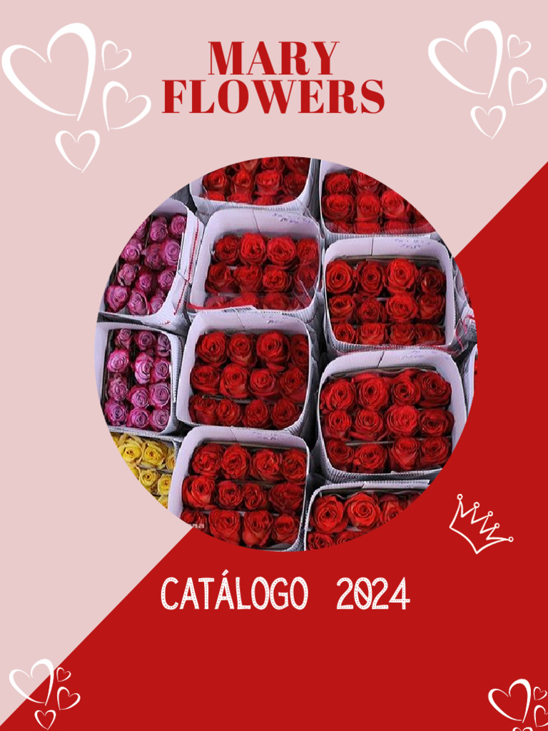 Catalogo Maryflower 2024 | PDF | Percepción visual | Arco iris