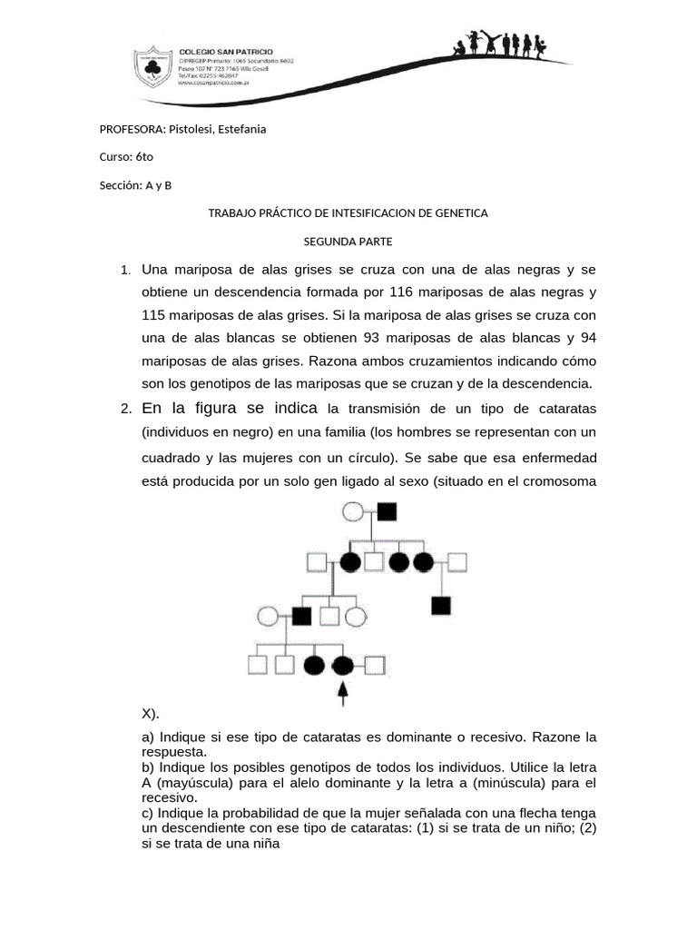 Genética: Cruzamientos y Herencia Mendeliana | PDF | Dominancia ...