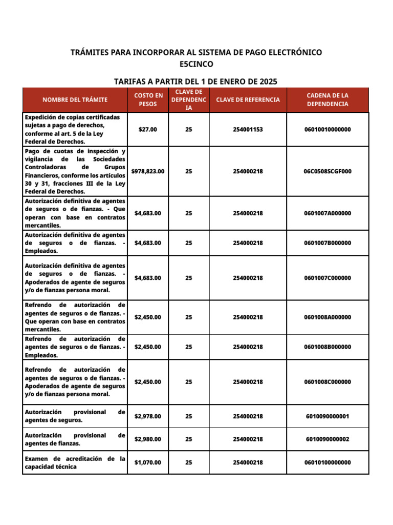 Catalogo de Pagos 2025 | PDF | Reaseguro | Seguro
