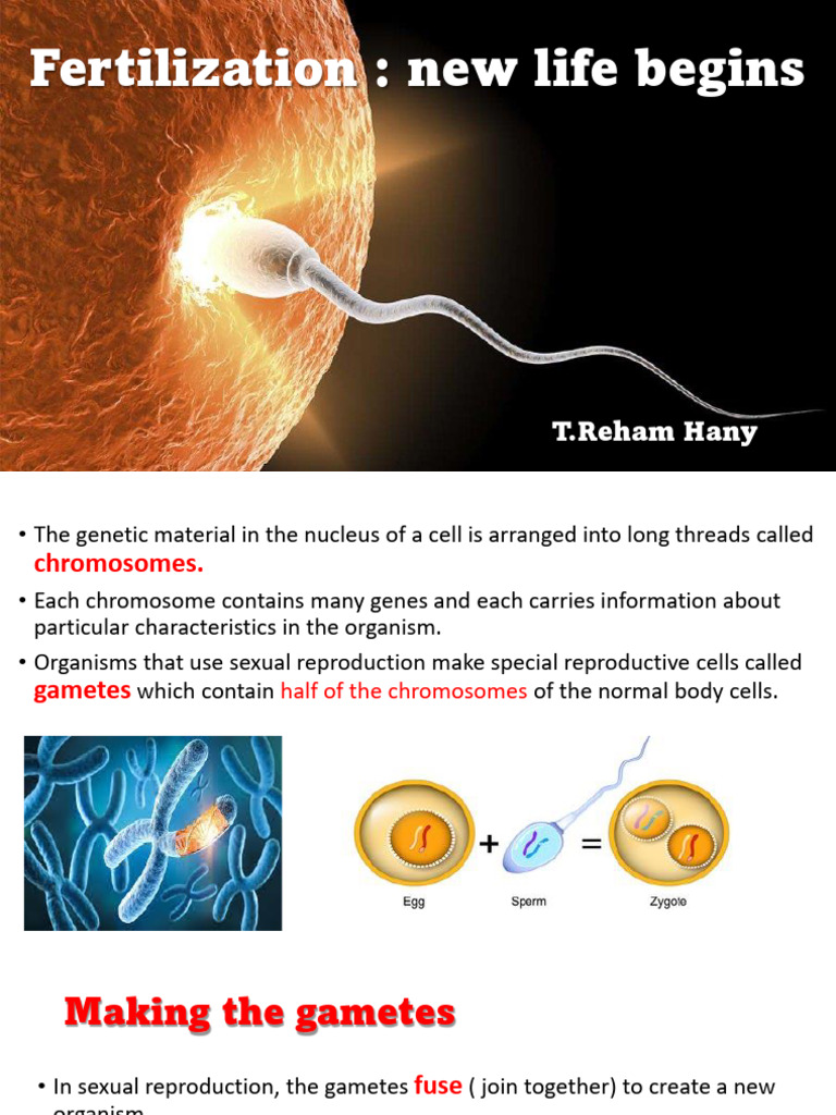 1028183188 | PDF | Sperm | Fertilisation