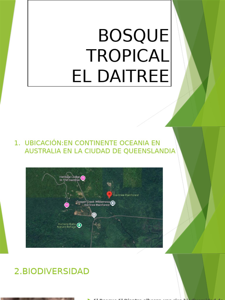 Bosque Tropical | PDF
