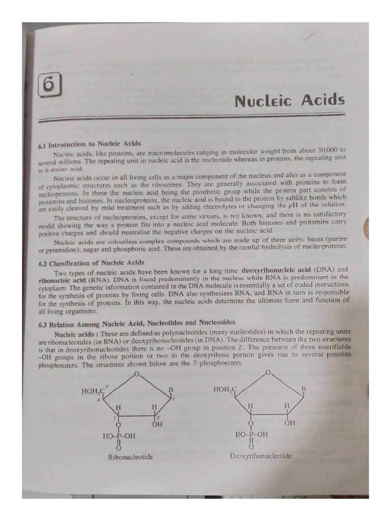 Nucleic Acids Organic - 1 | PDF