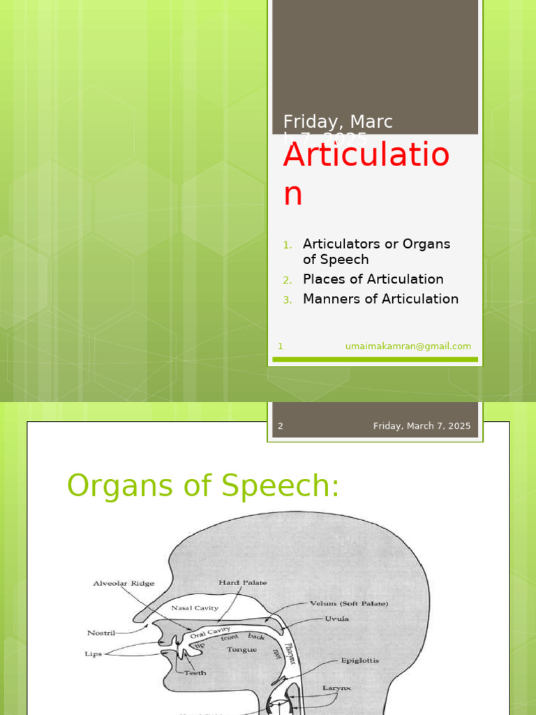 Articulation slides | PDF | Phonetics | Human Voice