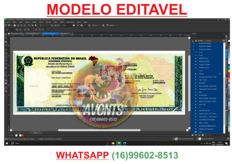 Novidade!!!! RG Novo (Cin) Modelo 2025 - Editavel | PDF