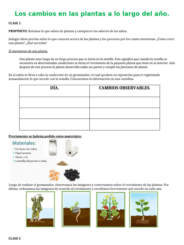 Comparto 'CAMBIOS DE LAS PLANTAS, 3°' Contigo | PDF | Plantas | Semilla
