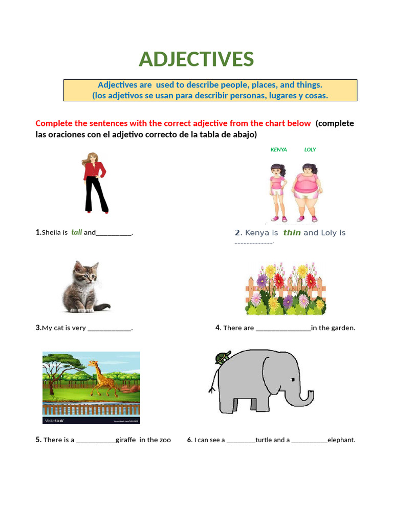 Adjective Usage And Exercises Pdf