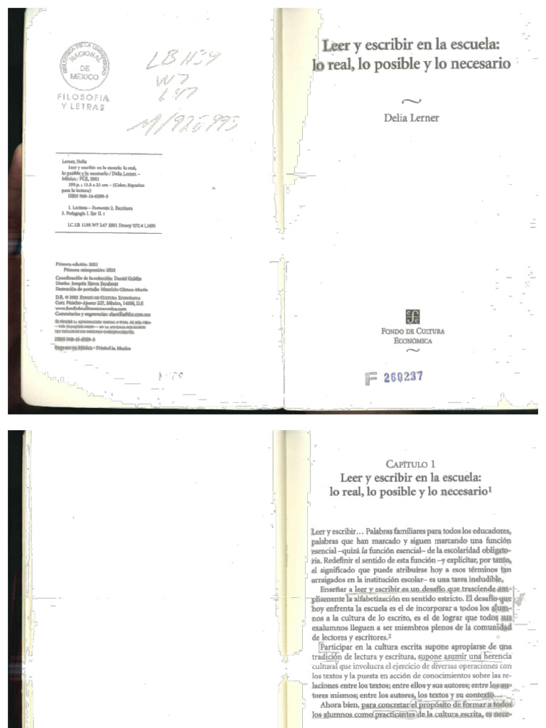 T5 Lerner Leer y Escribir en La Escuela | PDF