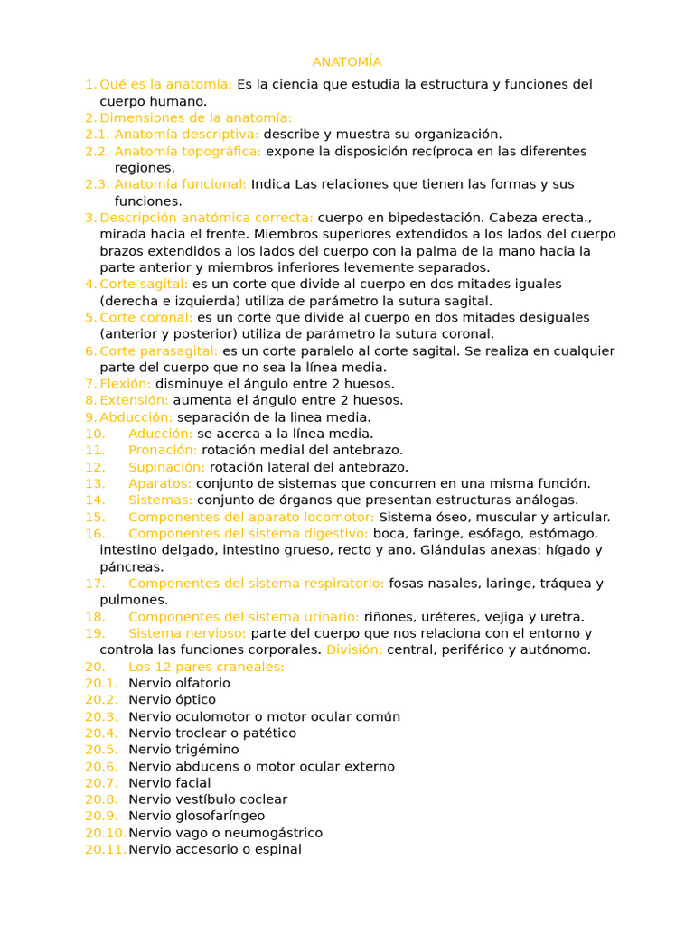 ANATOMÍA FINAL | PDF | Pulmón | Abdomen