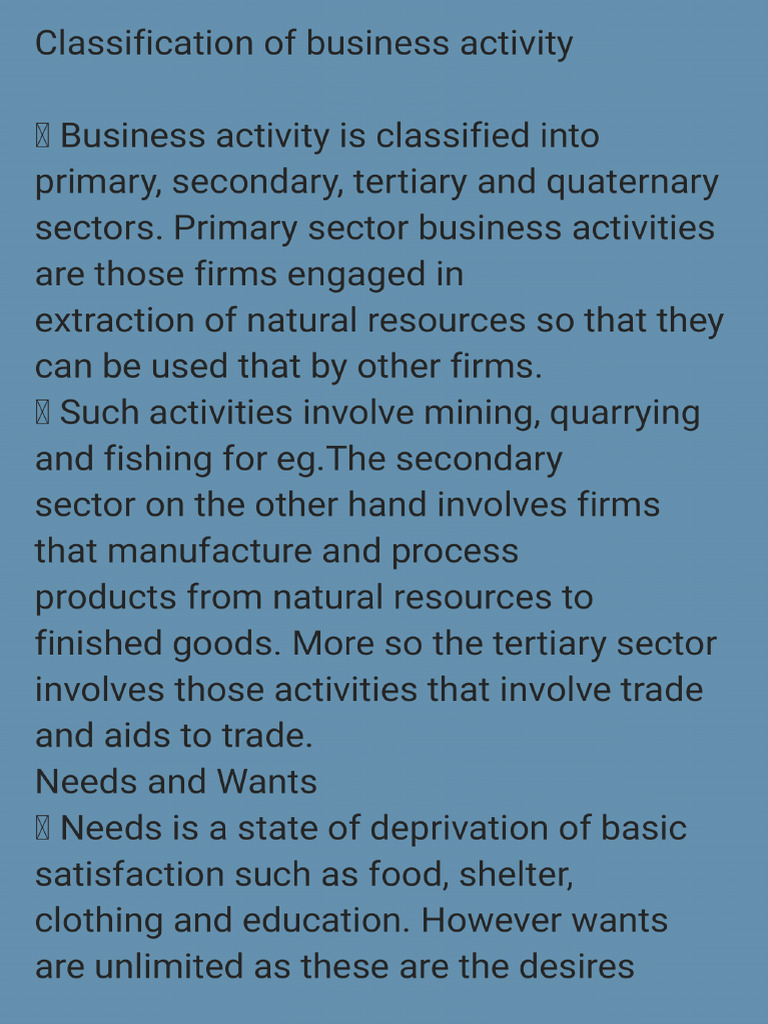 Classification of Business Activity - 250307 - 221136 | PDF