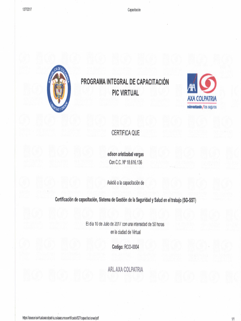 Capacitacion SG-SST de 50 Horas | PDF