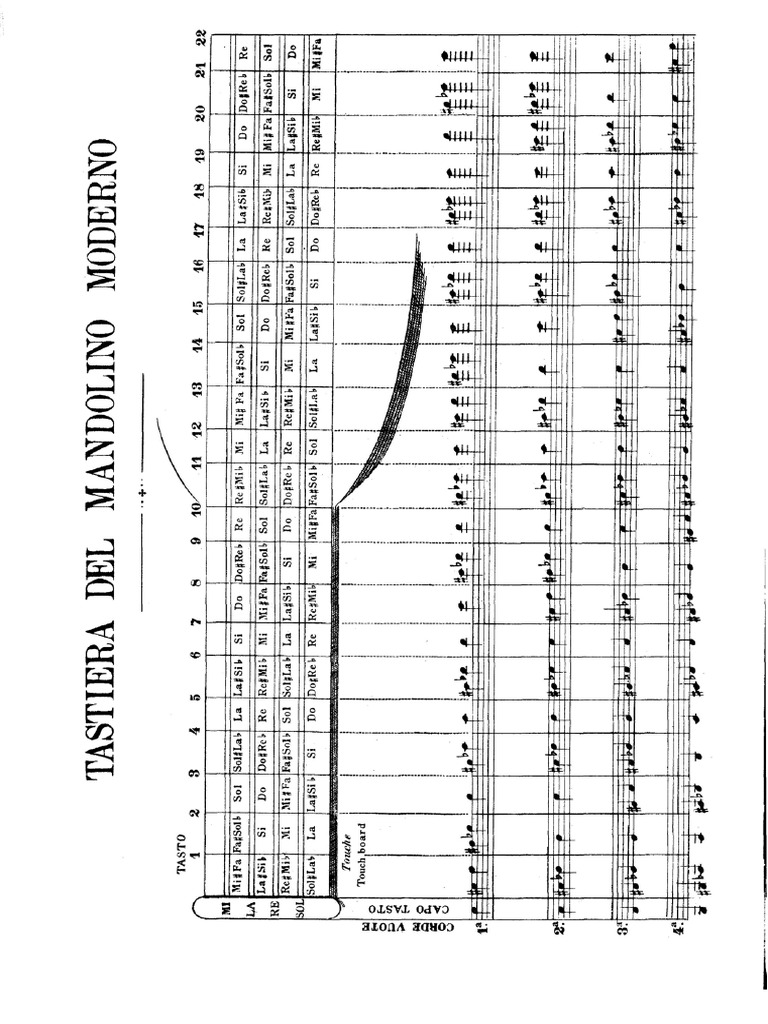Mandolin fingerboard | PDF