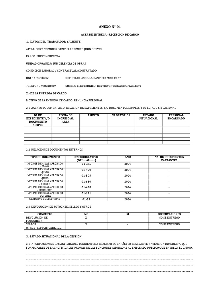 Formato Entrega de Cargo 2017 - Solo Formato1 | PDF