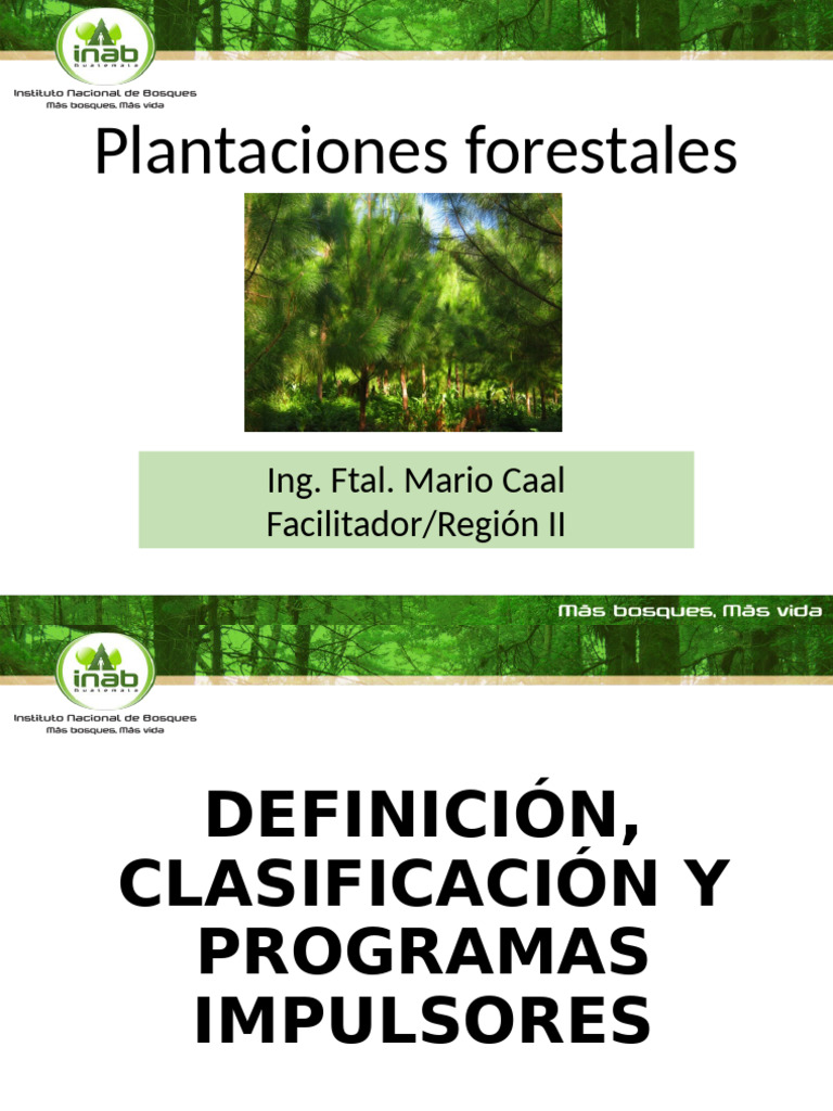Plantaciones Forestales: Definición y Programas | PDF | Los bosques | Economias