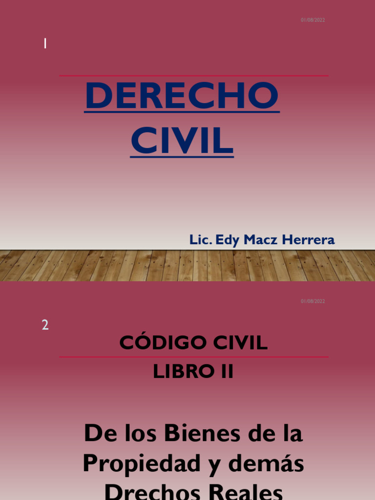 Bienes y Patrimonio en Derecho Civil | PDF | Bienes (Ley) | Propiedad