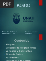 Manual Usuario Informix 4gl | PDF | SQL | Lenguaje de programación