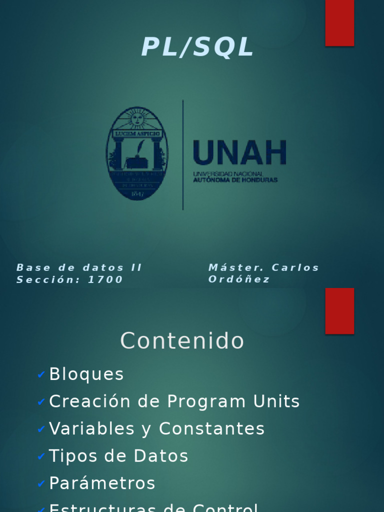 Guía Completa de PL/SQL: Bloques y Más | PDF | Pl / Sql | Paradigmas de ...