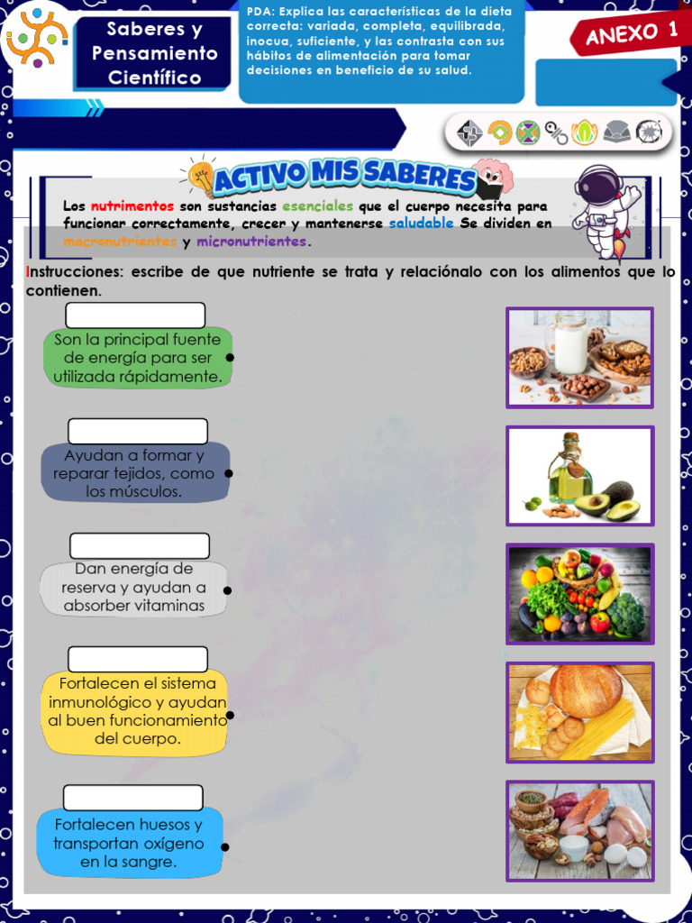 Anexos Q11 5to | PDF | gordo | Alimentos