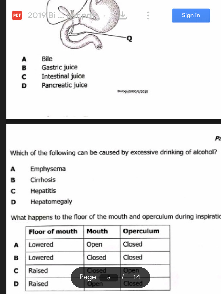 2019 Biology Paper 1 Past Paper - PDF - Google Drive | PDF