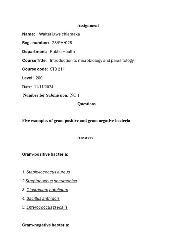 Assignment Chiamaka 2 | PDF