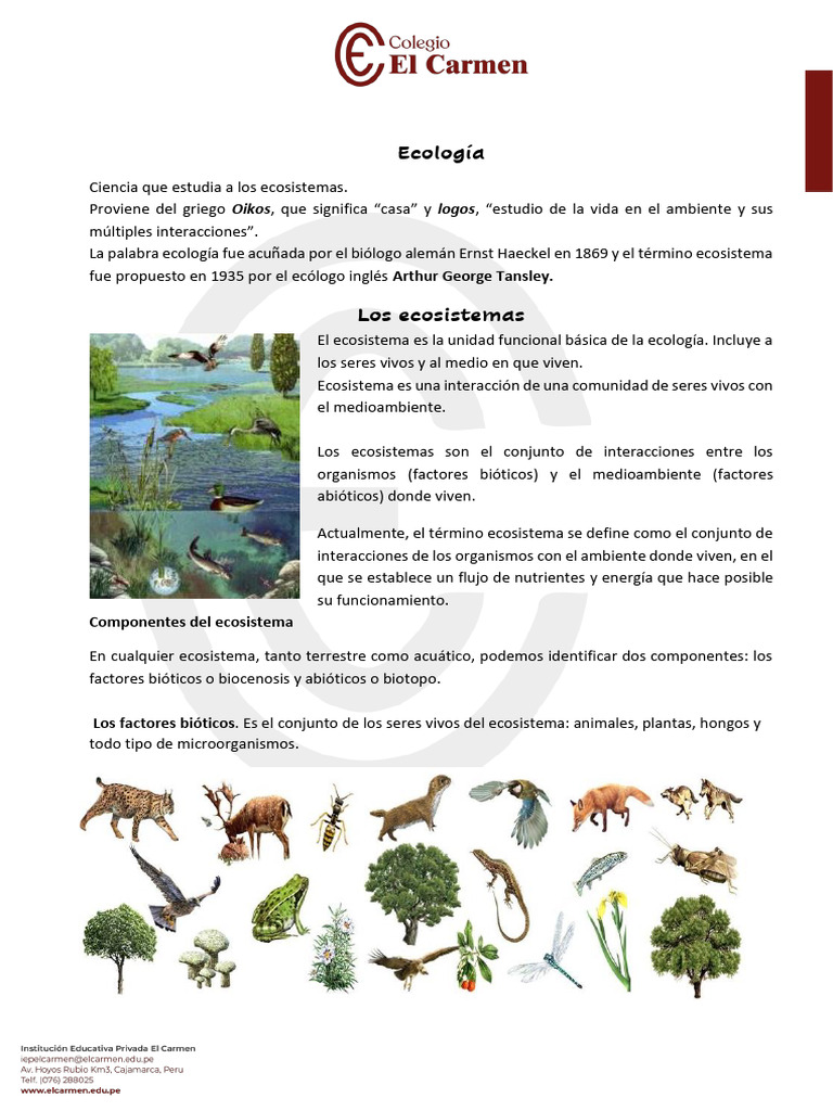 1._FICHA_INFORMATIVA_-_S1_-_ECOSISTEMAS | PDF | Ecosistema | Ecología