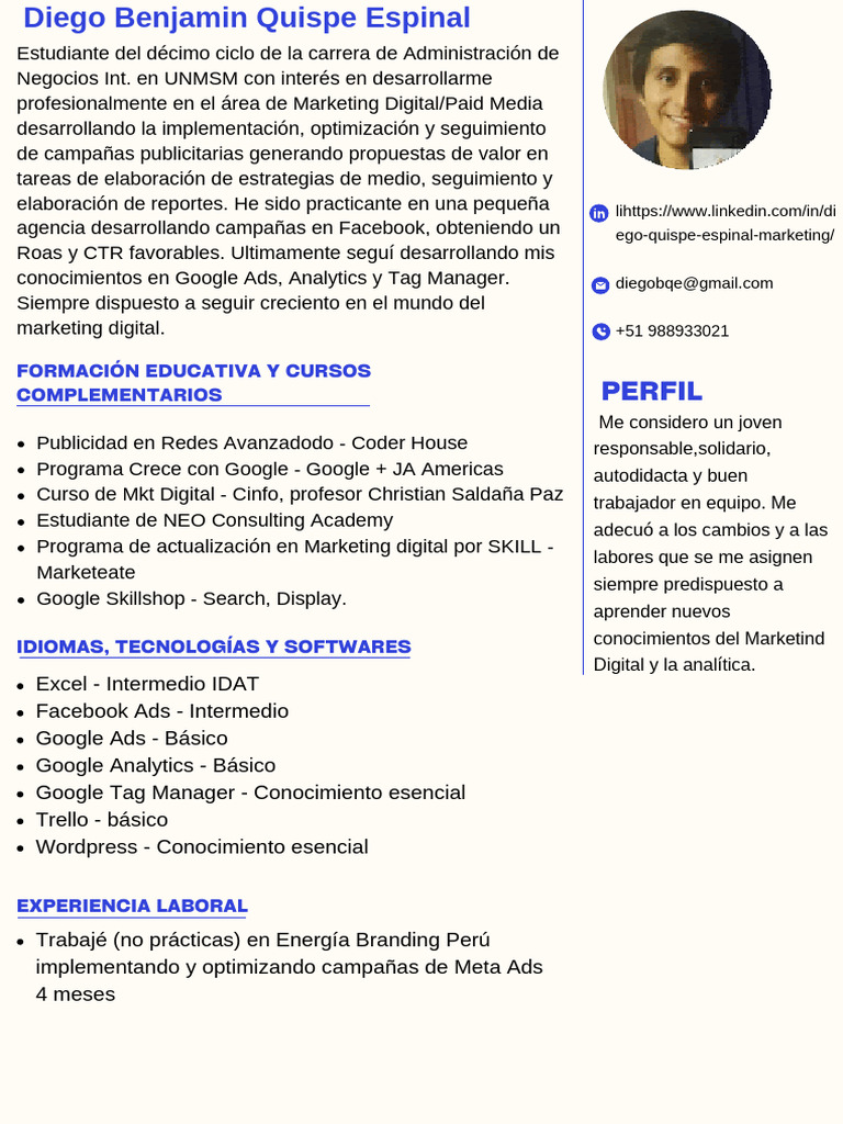 CV Diego Quispe Espinal | PDF