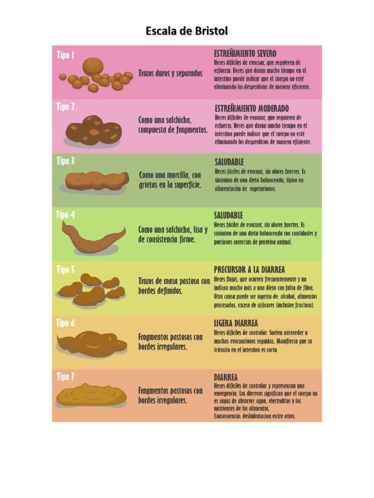 Deposiciones y Orina | PDF